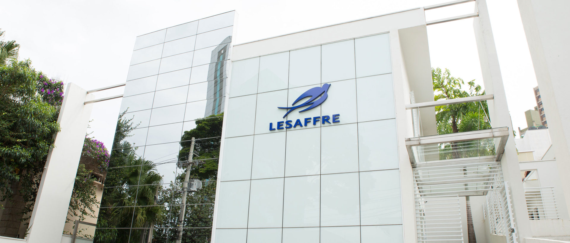 Lesaffre_Campinas • Lesaffre Nordic